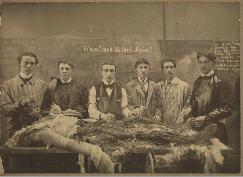 Death: A Self-Portrait, Wellcome Collection | The Arts Desk