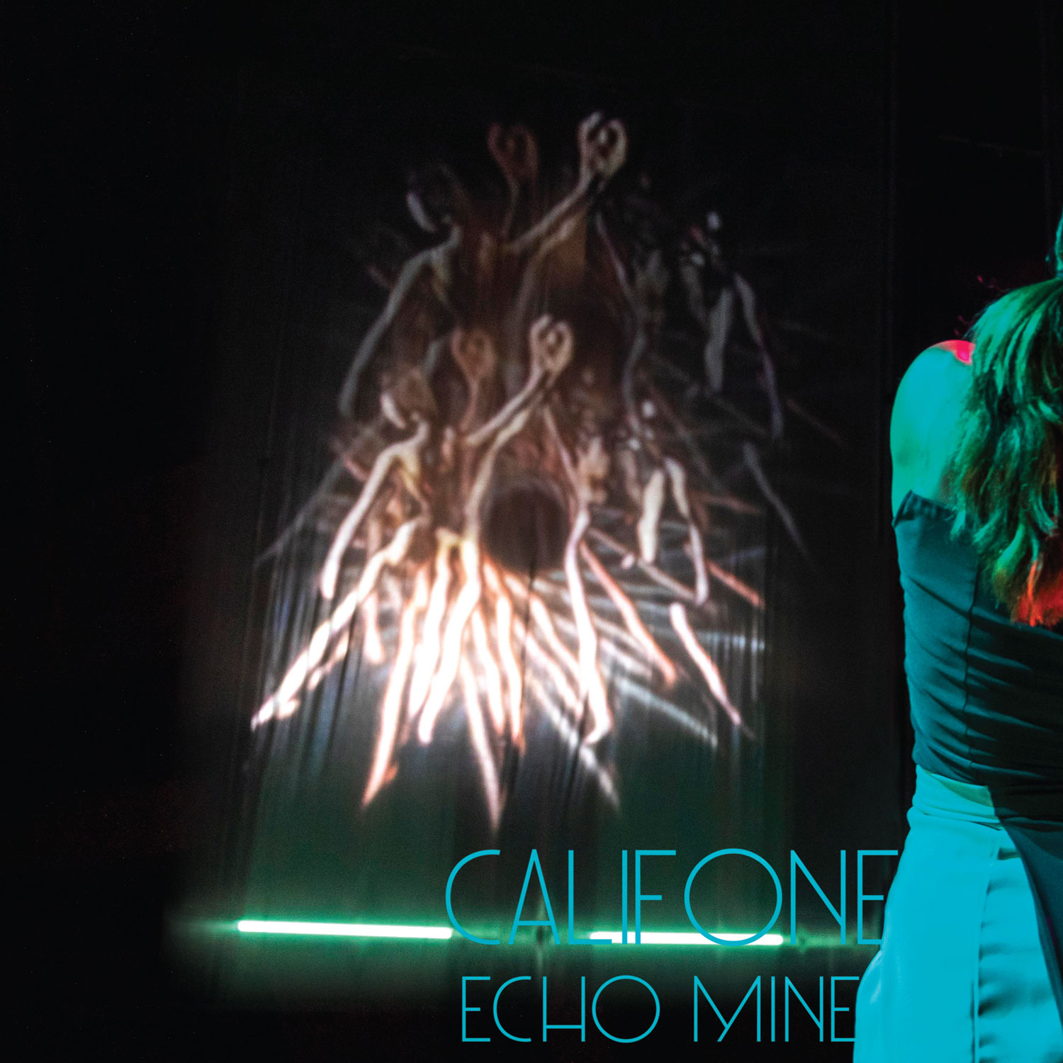 CD: Califone - Echo Mine review