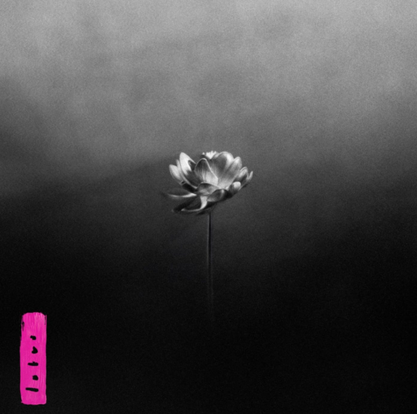 Album: Little Simz - Lotus review - a major hurdle in the UK star's ...