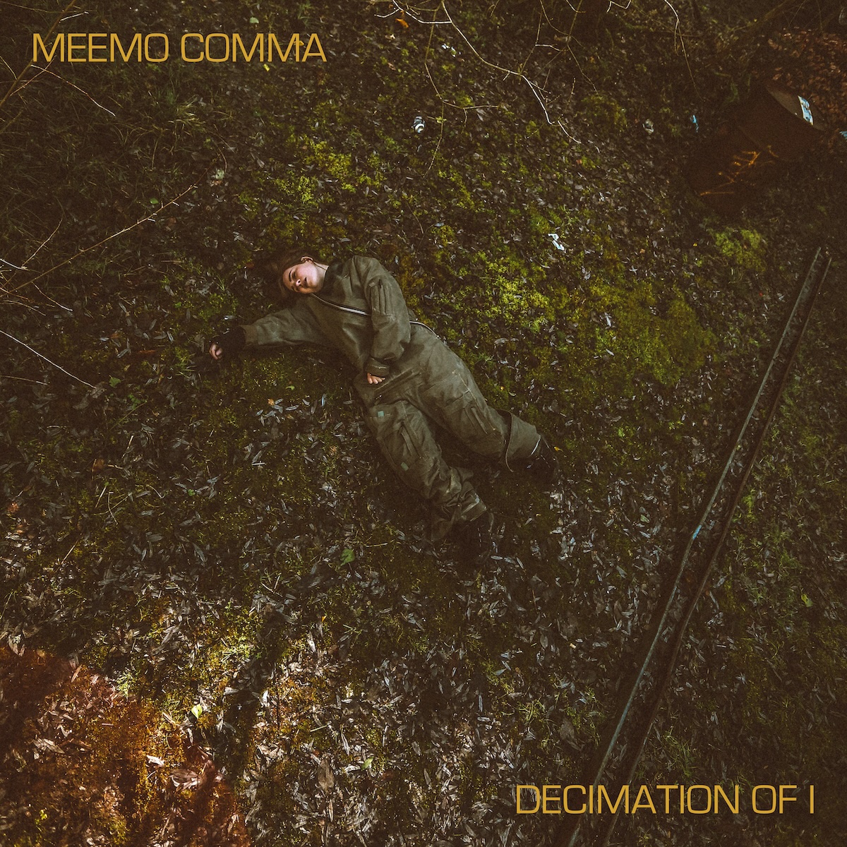 Album of the Year 2024: Meemo Comma - Decimation of I