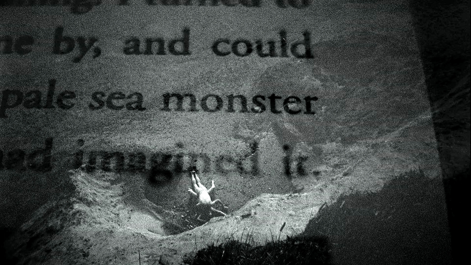 Patience (After Sebald) | The Arts Desk