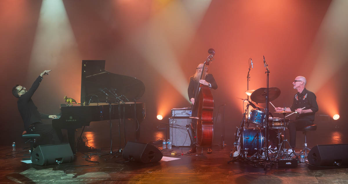 Jazz trio: three highlights from the London Jazz Festival 2024 review ...
