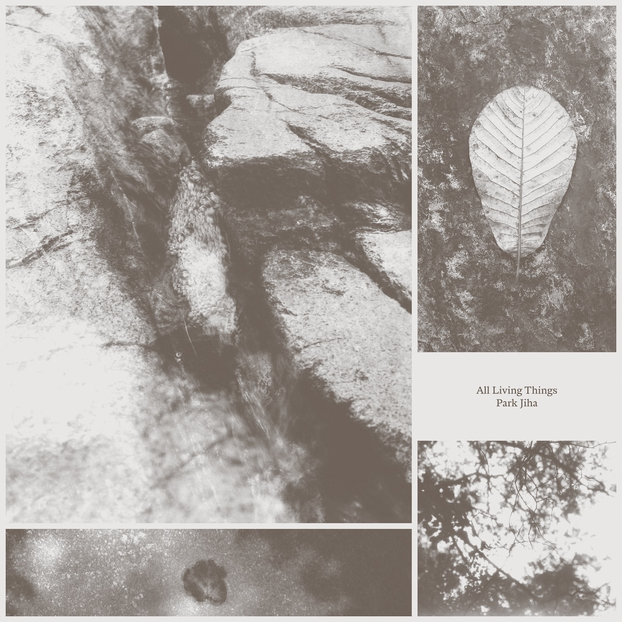 Album: Park Jiha - All Living Things