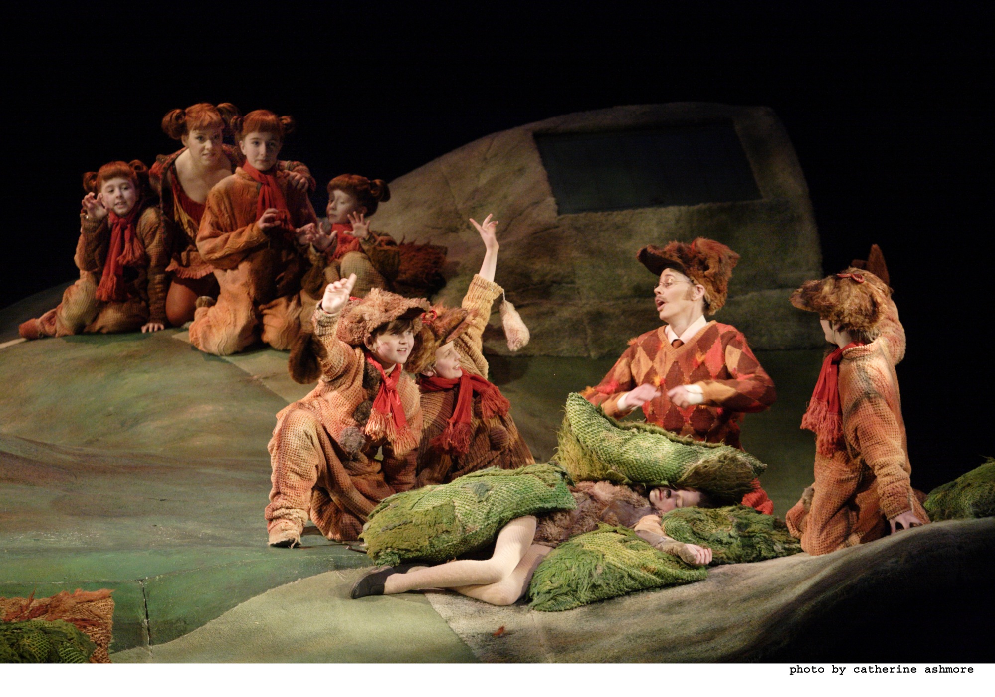 The Cunning Little Vixen, Welsh National Opera | The Arts Desk
