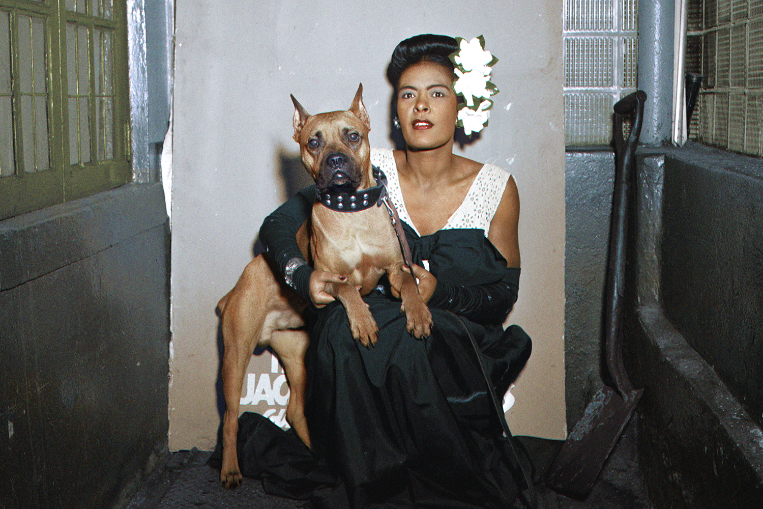 Billie review – new documentary captures the rebel