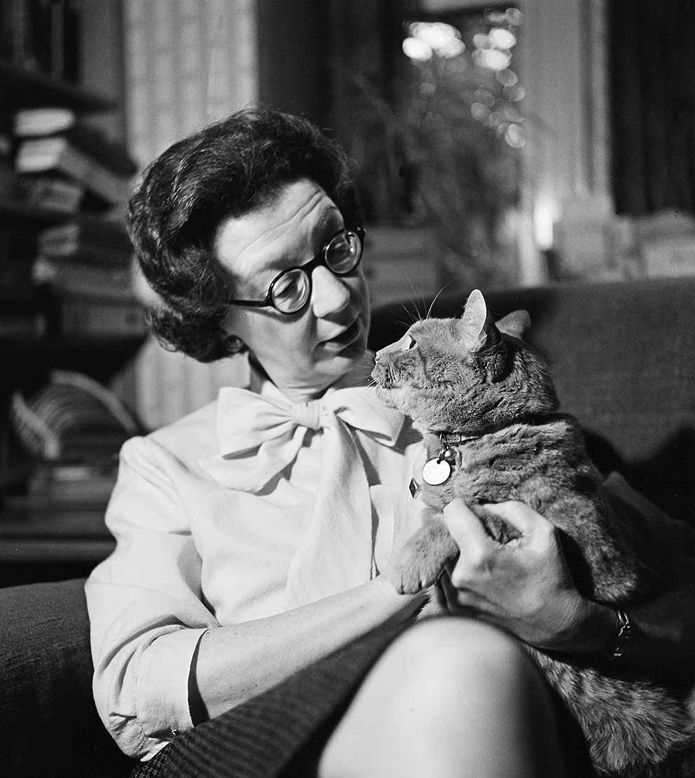 Celia Dale: Sheep’s Clothing review – unsettling, mundane, and right on ...