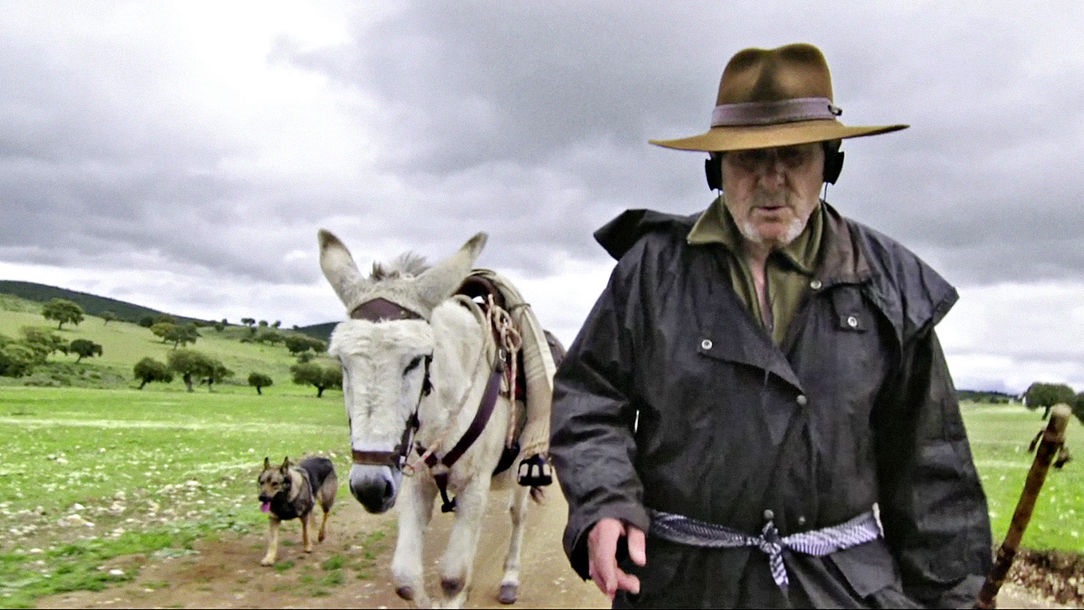 Donkeyote review - a quiet revelation