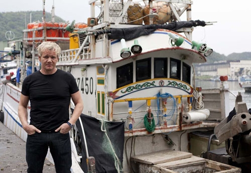 Gordon Ramsay: Shark Bait/ Dispatches: Fish Unwrapped, Channel 4 | The ...