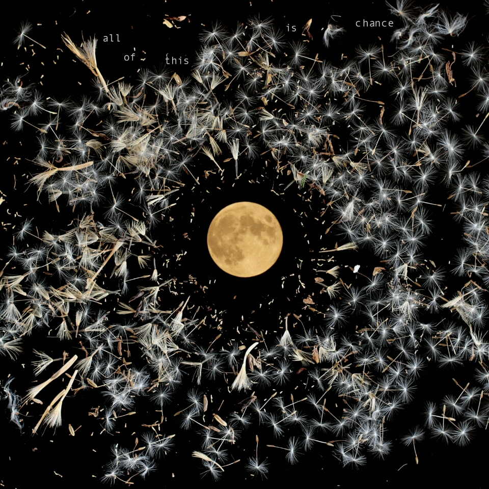 Lisa O'Neill - All of This Is Chance review - The Irish singer ...