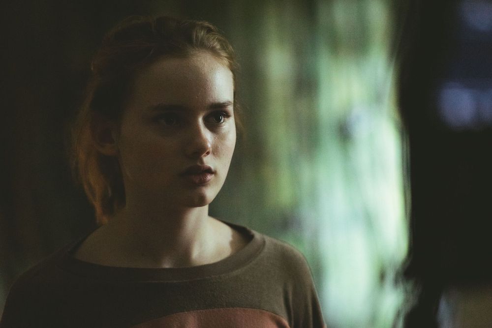 Phoenix review - Norwegian family tragedy with an autobiographical slant