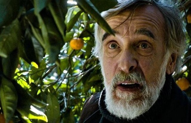 Tangerines | The Arts Desk