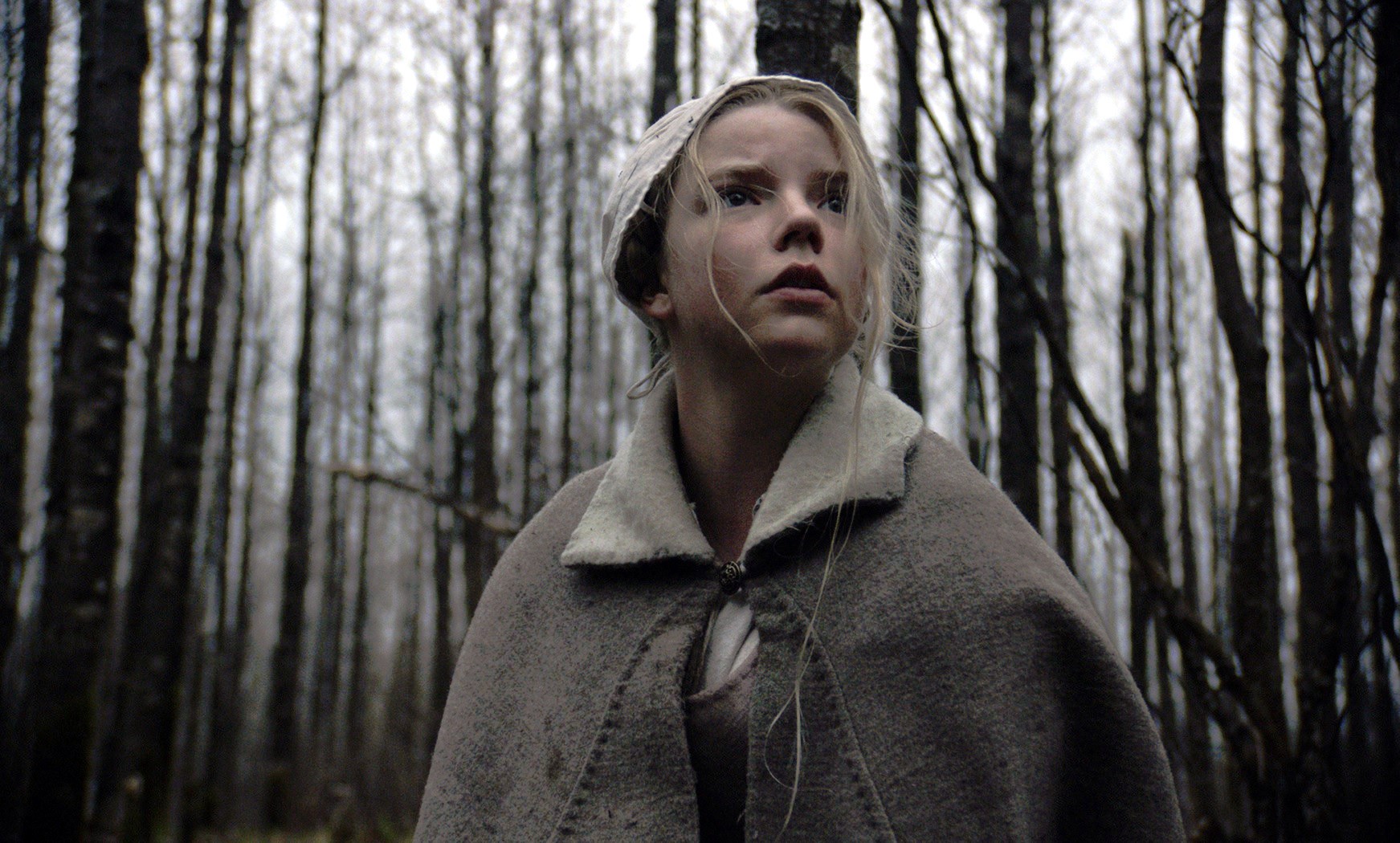 DVD: The Witch | The Arts Desk