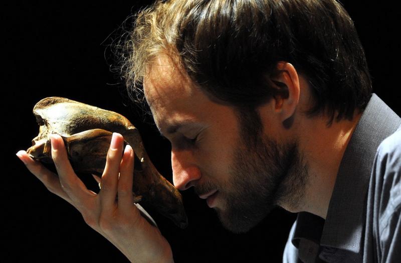 'Hamlet’s actors are kings of infinite space' | reviews, news ...