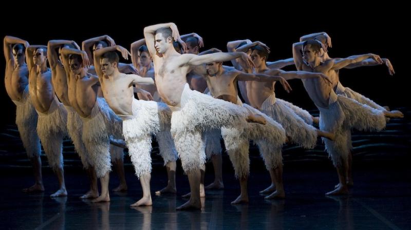 Win tickets for Matthew Bourne's Swan Lake 3D premiere, plus live Q&A ...