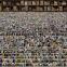 Joan Jonas, Tate Modern review - work as elusive as it is beautiful